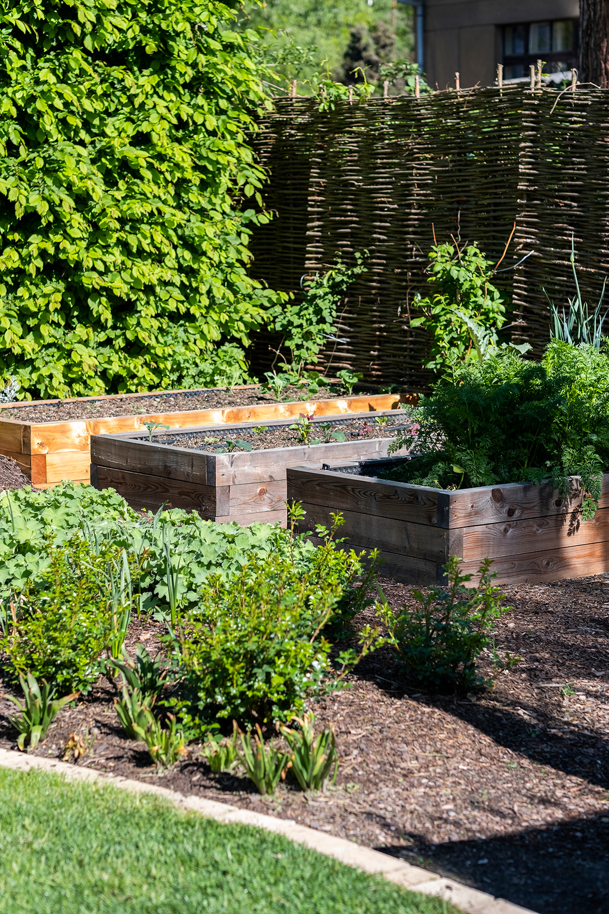 Fotogalerie - Proutěné ploty